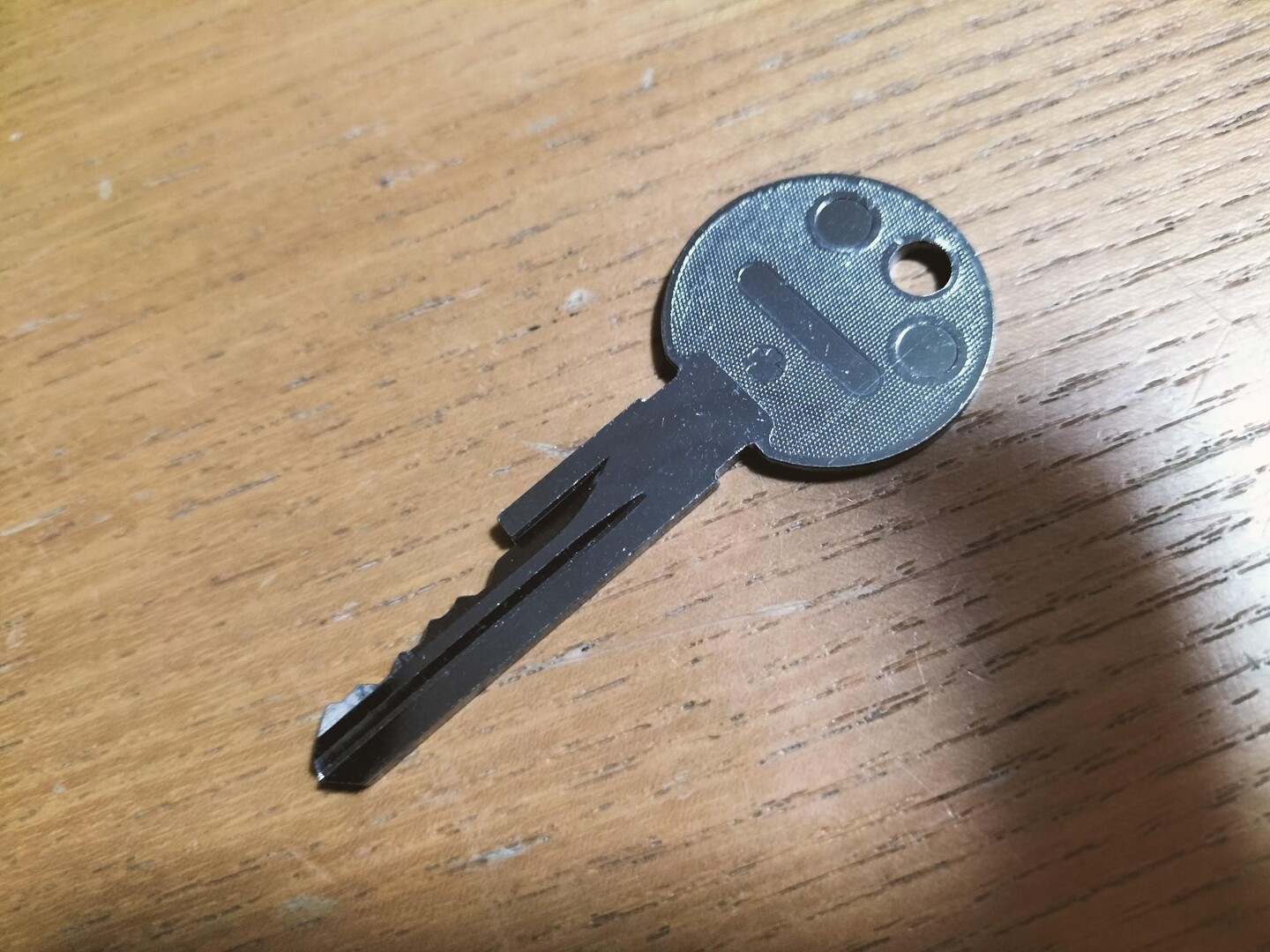 平家平と三森山を繋ぐ尾根道で鍵を拾いまし... / lala(時差投稿ごめんなさい🙏)さんのモーメント | YAMAP / ヤマップ