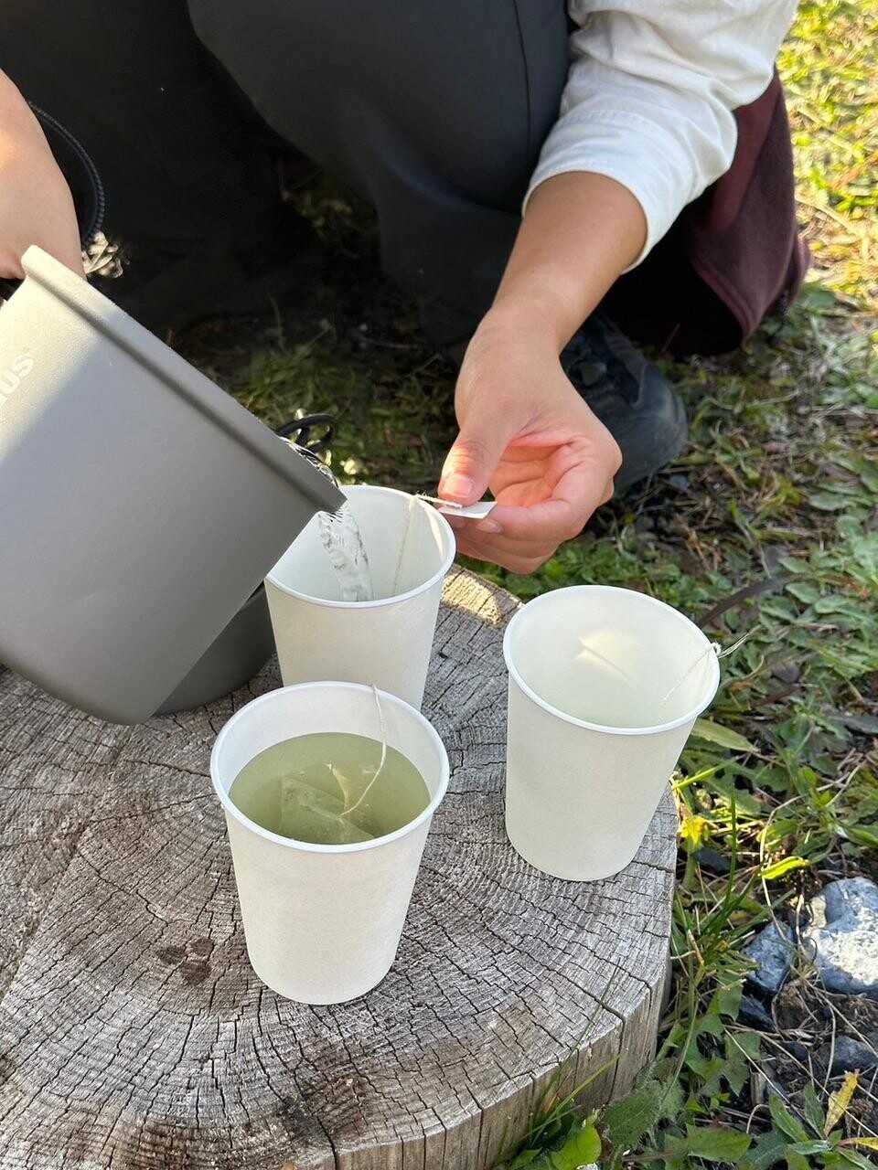 ayanoのページ | YAMAP / ヤマップ