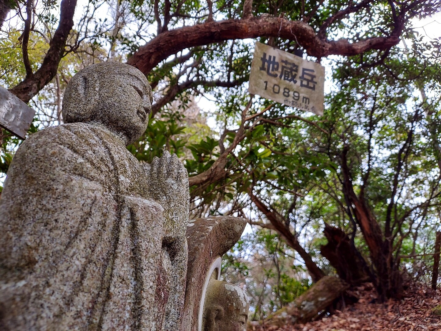 空野山・オサレ山より地蔵岳 / derainandreさんの地蔵岳の活動データ | YAMAP / ヤマップ