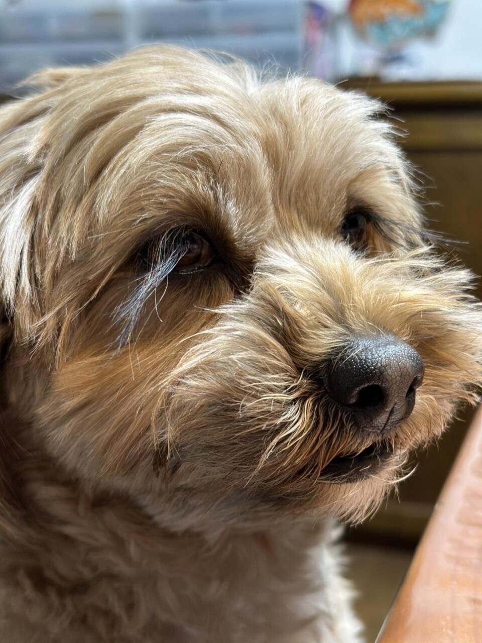 nbkyのページ | YAMAP / ヤマップ