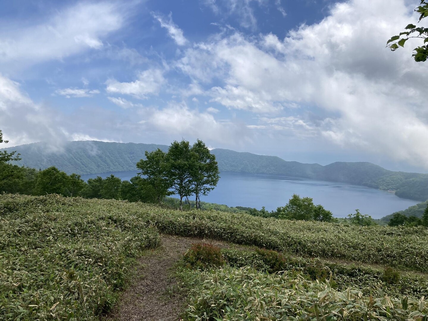 窟太郎子（北山）・窟太郎子南峰（北山南峰） / 2525bbさんの日和山・窟太郎子の活動データ | YAMAP / ヤマップ