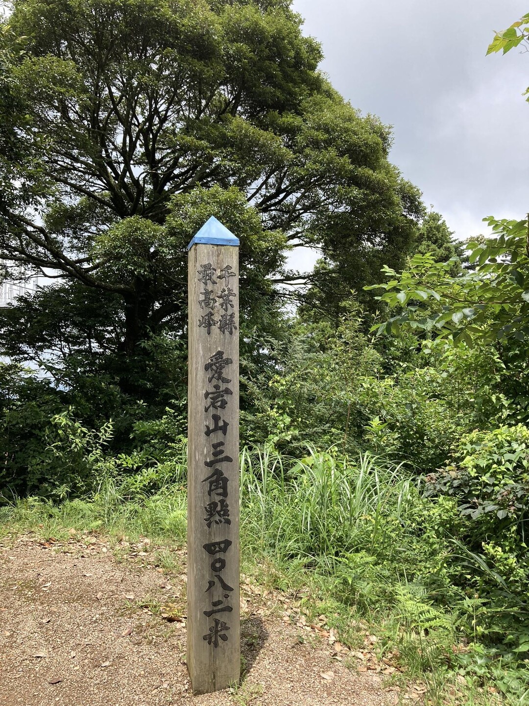 愛宕山⭐︎入山前に過去一番緊張した… / kimiさんの愛宕山・二ツ山・大山千枚田の活動データ | YAMAP / ヤマップ