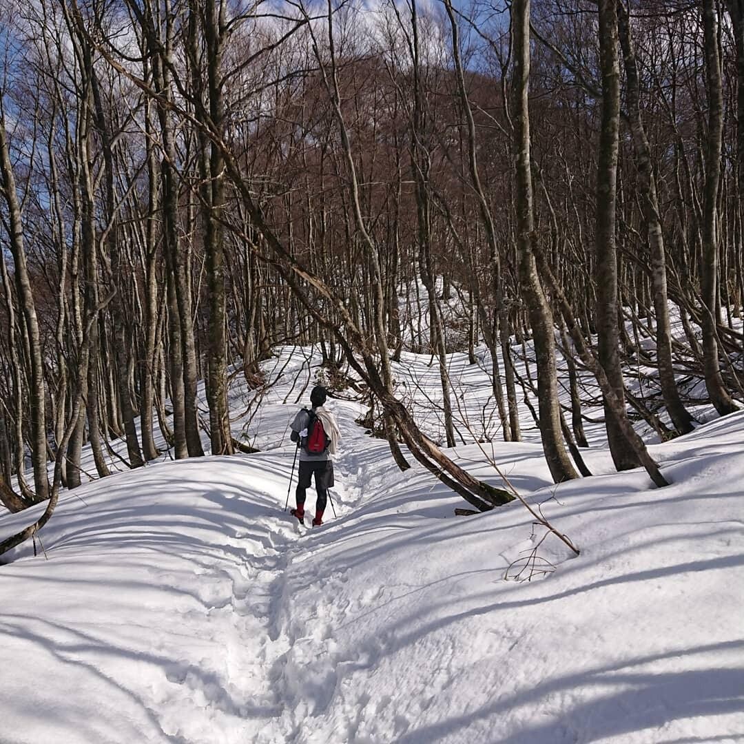 荒島岳-2020-03-21 / ma-miさんの荒島岳の活動データ | YAMAP / ヤマップ
