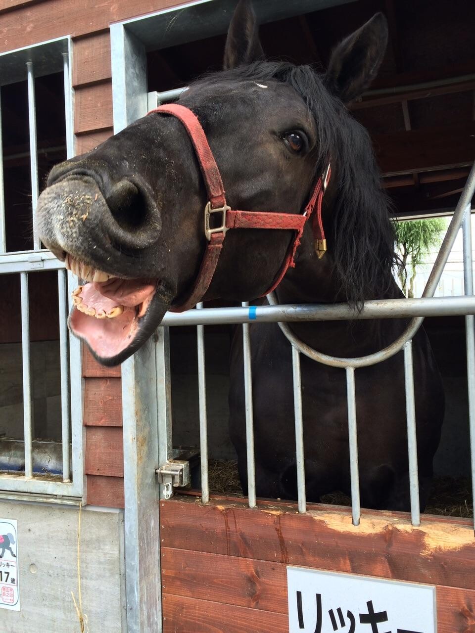 N.RIEのページ | YAMAP / ヤマップ