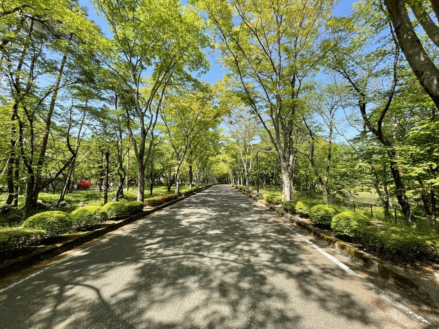 2022.05.06(金) 22:03 / ケロケロ🐸🐸🐸さんのモーメント | YAMAP / ヤマップ