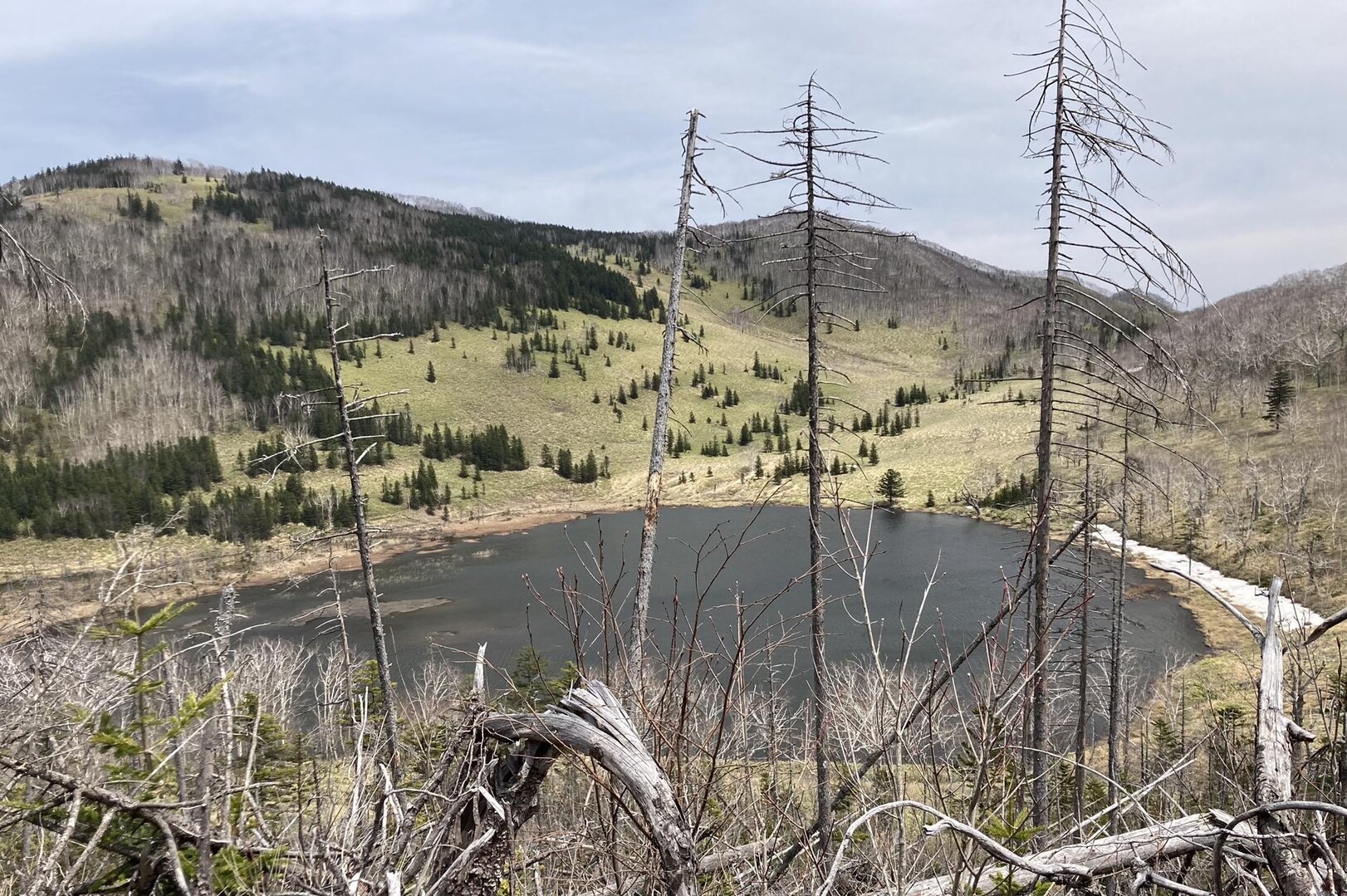 白雲山・天望山・東雲湖 / minoワールドさんの白雲山の活動データ | YAMAP / ヤマップ