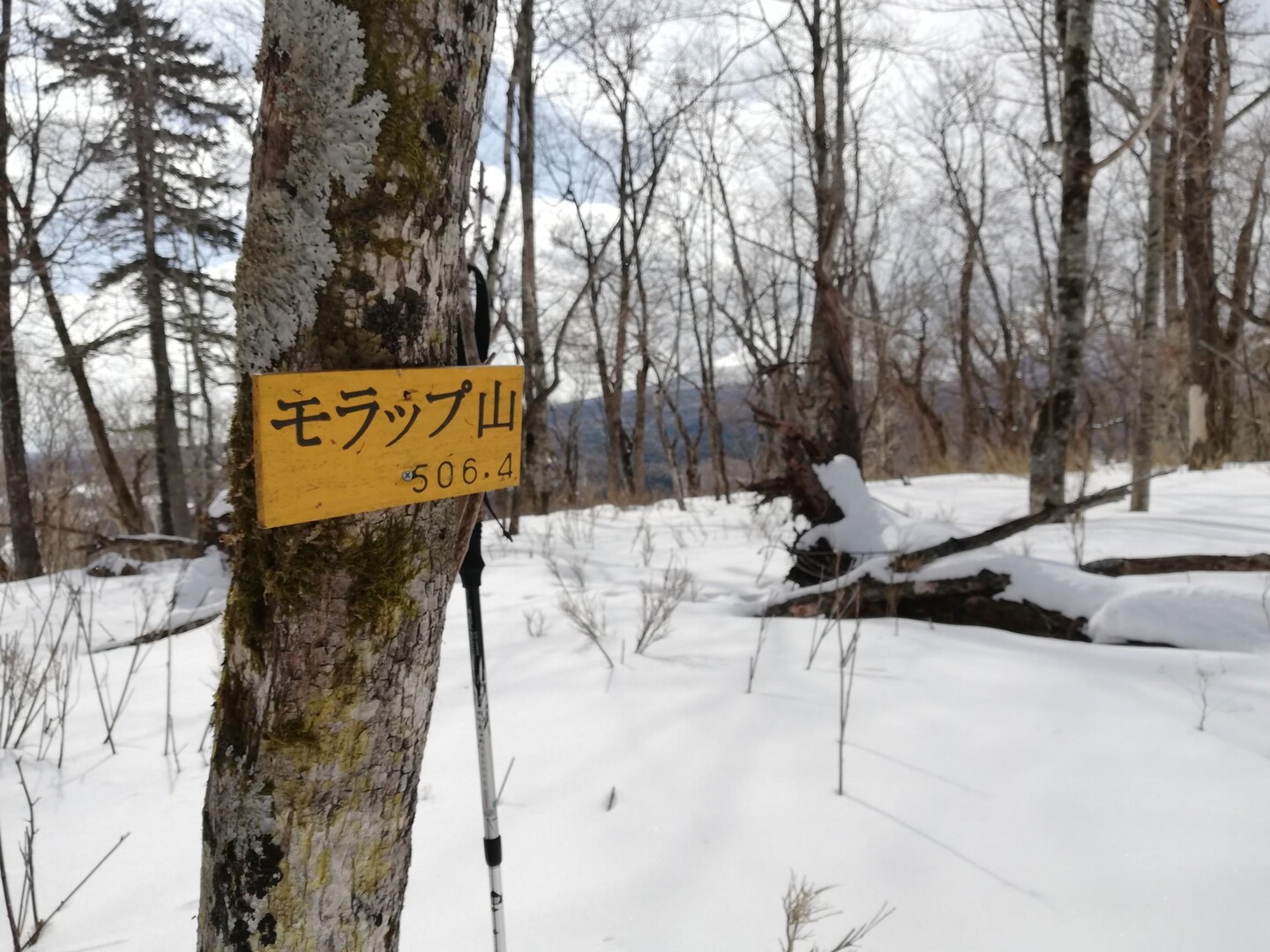 2年振りのモラップ山 / aripapaさんの支笏湖の活動データ | YAMAP / ヤマップ