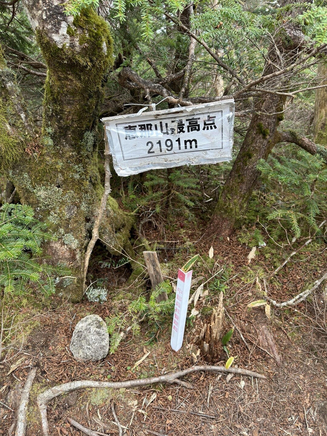 mt.suuuさんの投稿したフィールドメモ | YAMAP / ヤマップ