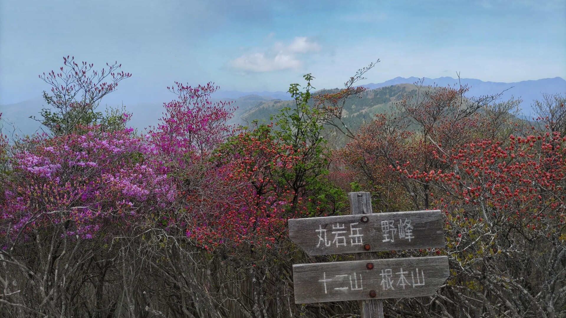 熊鷹山 / わーゆさんの根本山・熊鷹山・氷室山の活動データ | YAMAP / ヤマップ