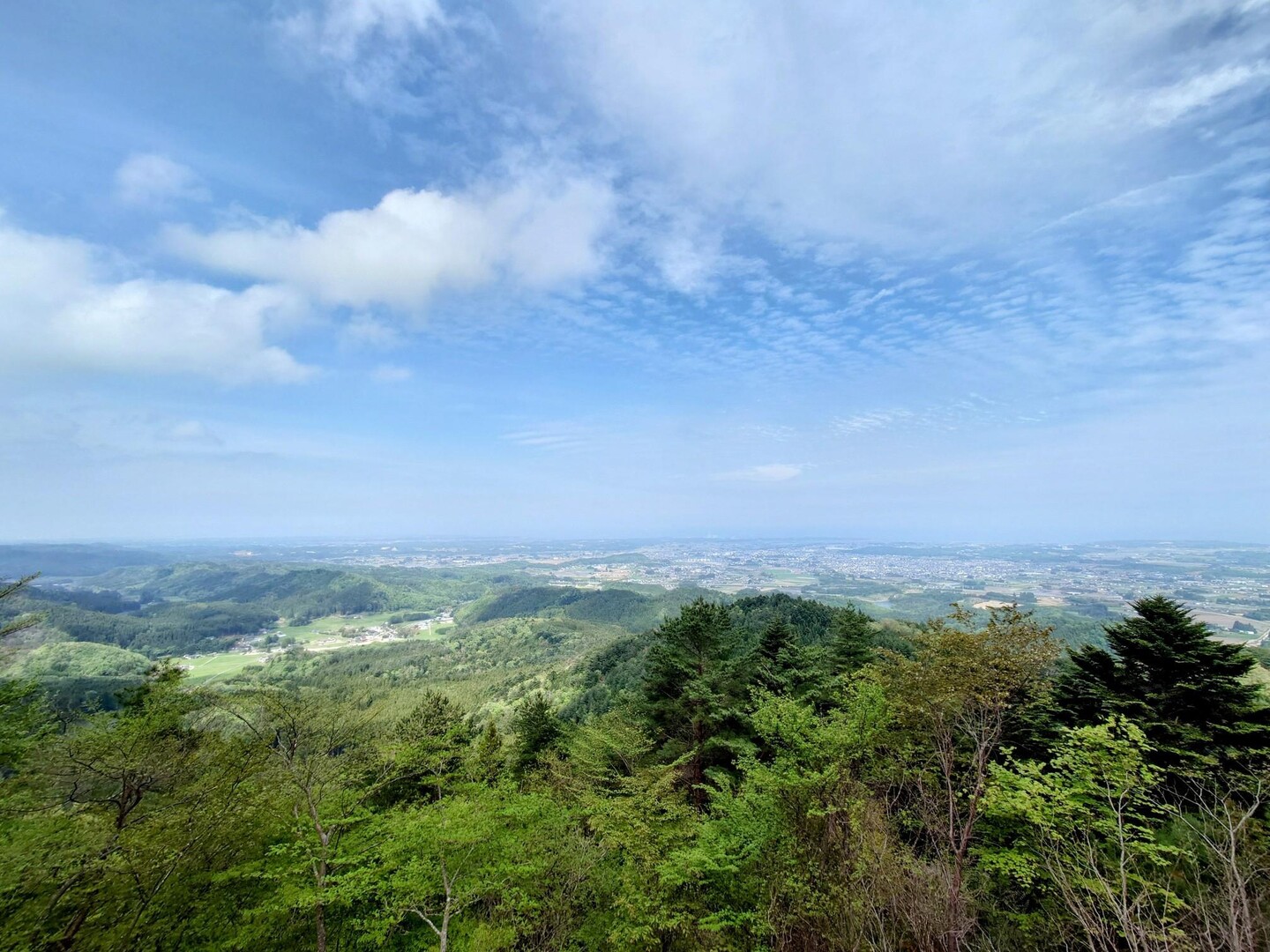 国見山ʘ⁠‿⁠ʘ / robin.kʘ⁠‿⁠ʘさんの国見山の活動データ | YAMAP / ヤマップ