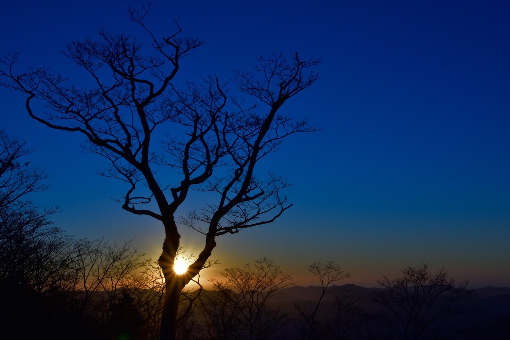 朝駆け 八経ヶ岳 / ⛅Nori-jiさんの八経ヶ岳の活動データ | YAMAP / ヤマップ