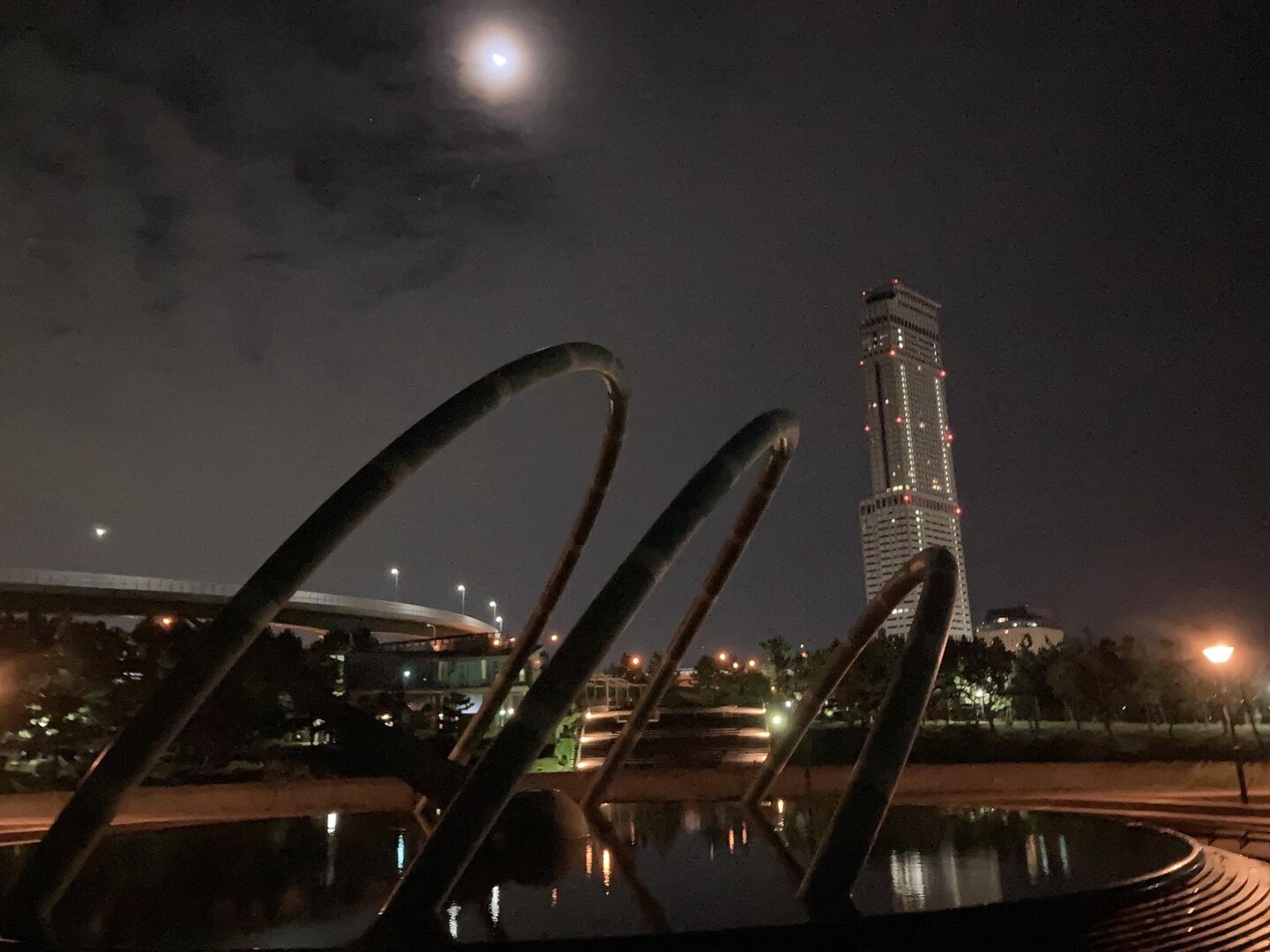 船岡山 〜夜ラン / bu-koさんの岸和田市の活動データ | YAMAP / ヤマップ