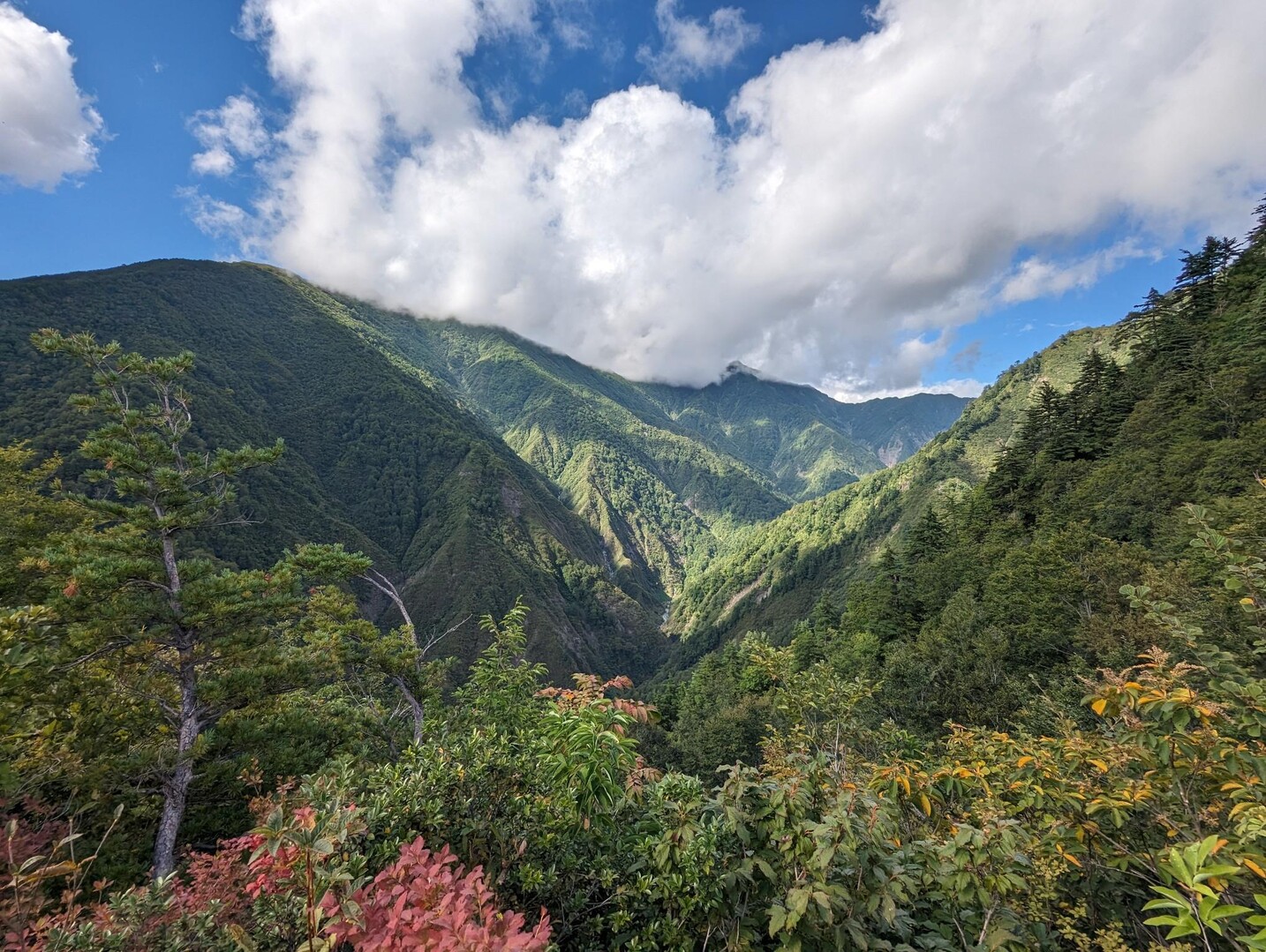 越後三山 中ノ岳 / j-saitohさんの越後駒ヶ岳・八海山・荒沢岳の活動データ | YAMAP / ヤマップ
