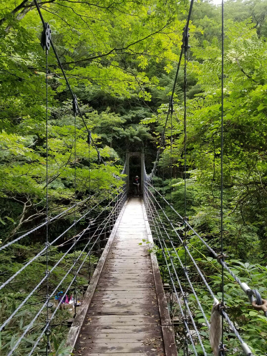 むぎのページ | YAMAP / ヤマップ