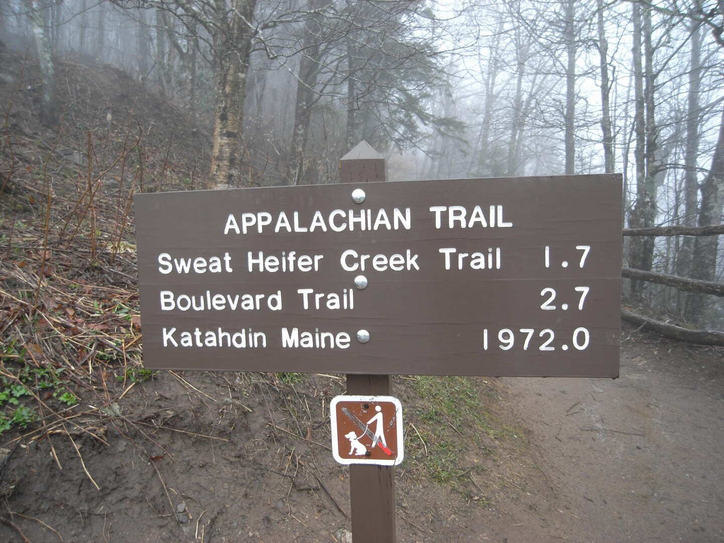 『ロングトレイル』・・・あぁ、なんて素敵... / NAOZOさんのモーメント | YAMAP / ヤマップ