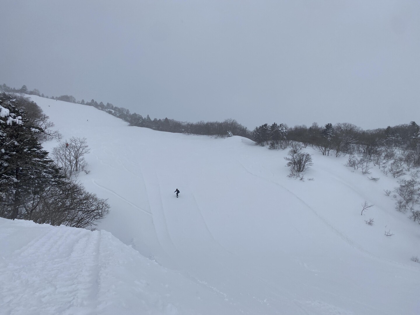 週末は天気期待出来ないのですみかわスノー... / R_MAXさんのモーメント | YAMAP / ヤマップ