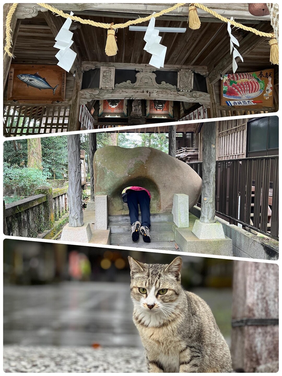 2/29：聖★さんとお友達が関西から来高... / mipiさんのモーメント | YAMAP / ヤマップ