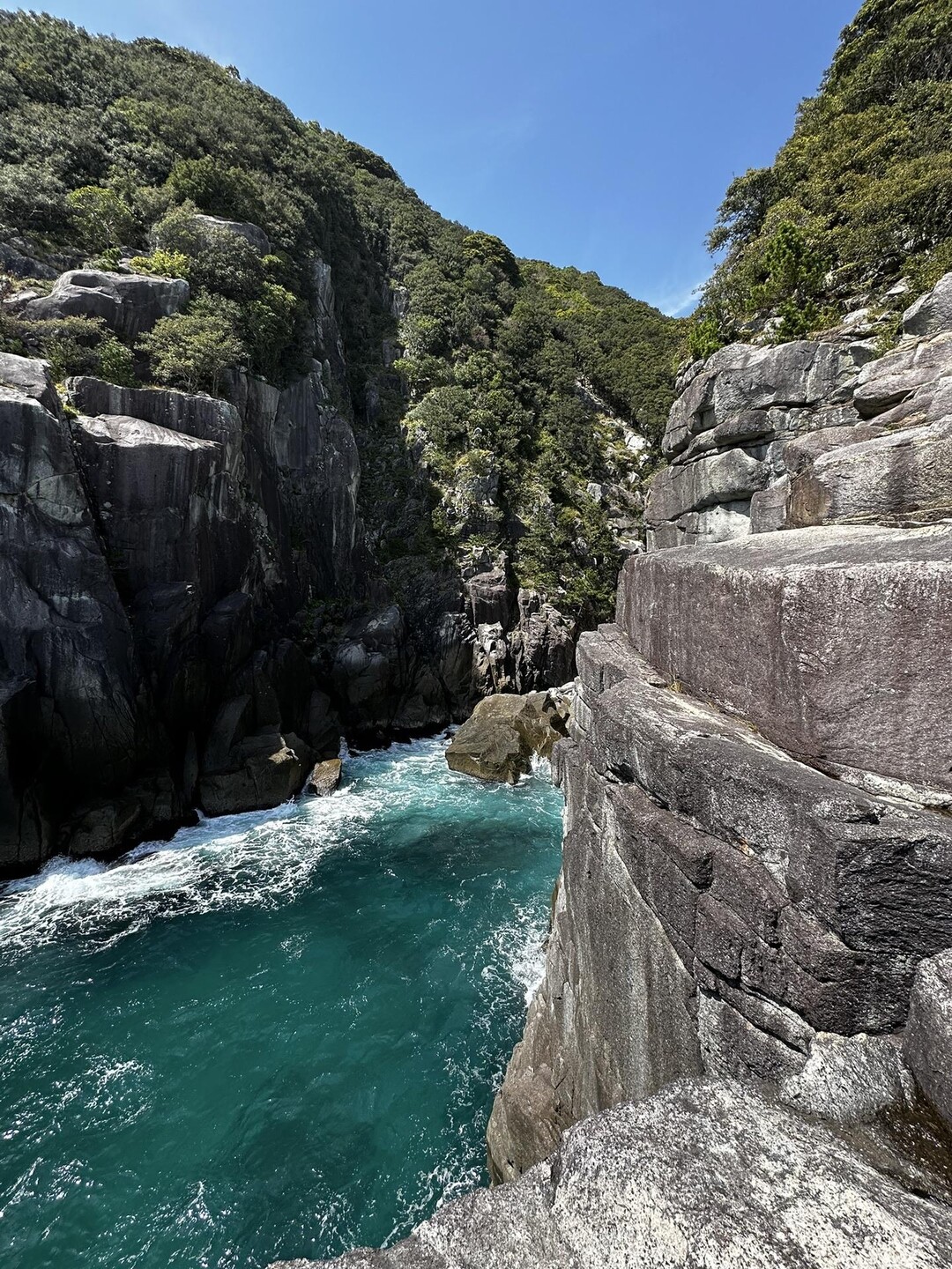 頂山•オハイ（大配） / kaomi-ruさんの八鬼山・頂山・オハイの活動データ | YAMAP / ヤマップ