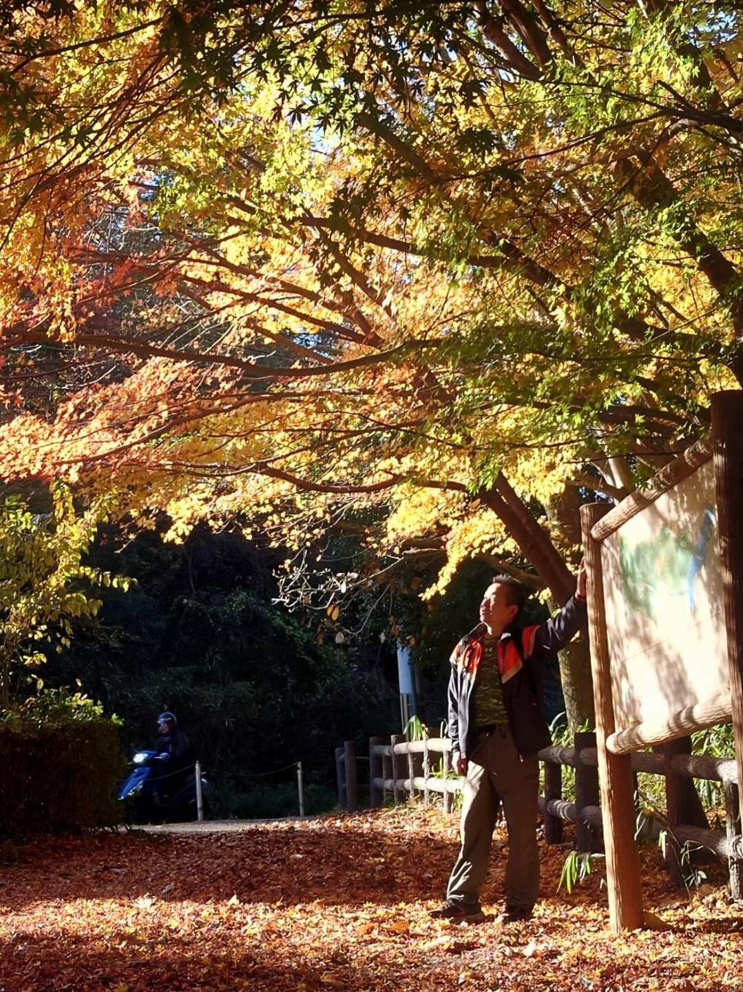 2022.11.30(水) 07:46 / マナブっちんさんのモーメント | YAMAP / ヤマップ