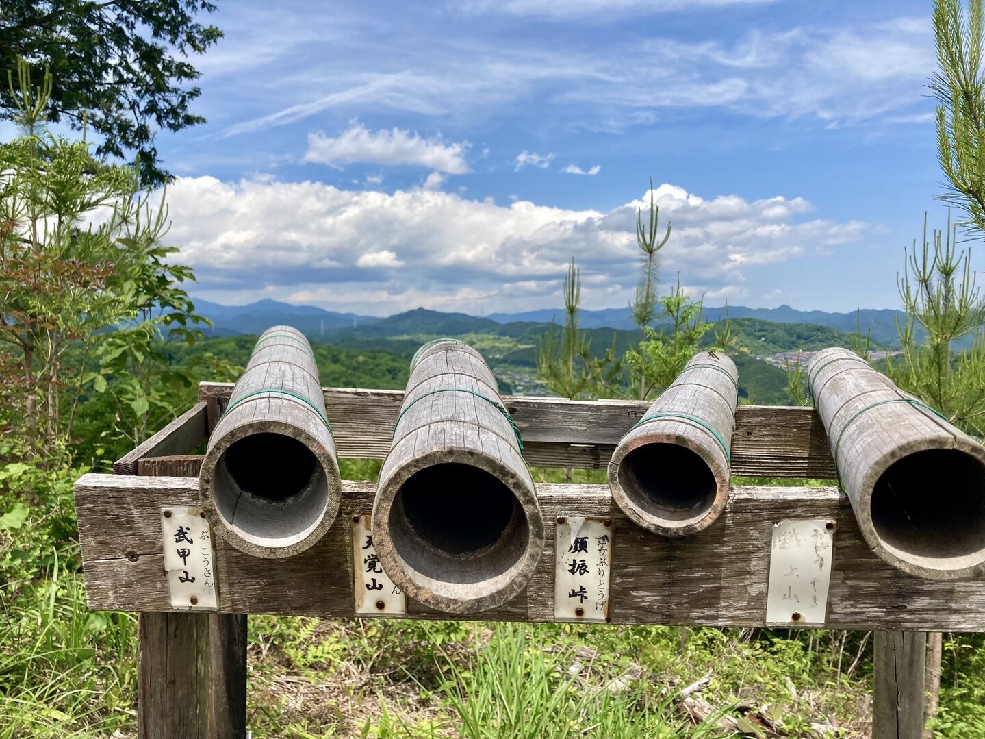 ぐるっと飯能☆天覧山・多峯主山・龍崖山・燧山・朝日山・夕日山 / みんみんさんのヤマノススメ巡礼マップ（天覚山・大高山・子の権現）の活動データ | YAMAP / ヤマップ