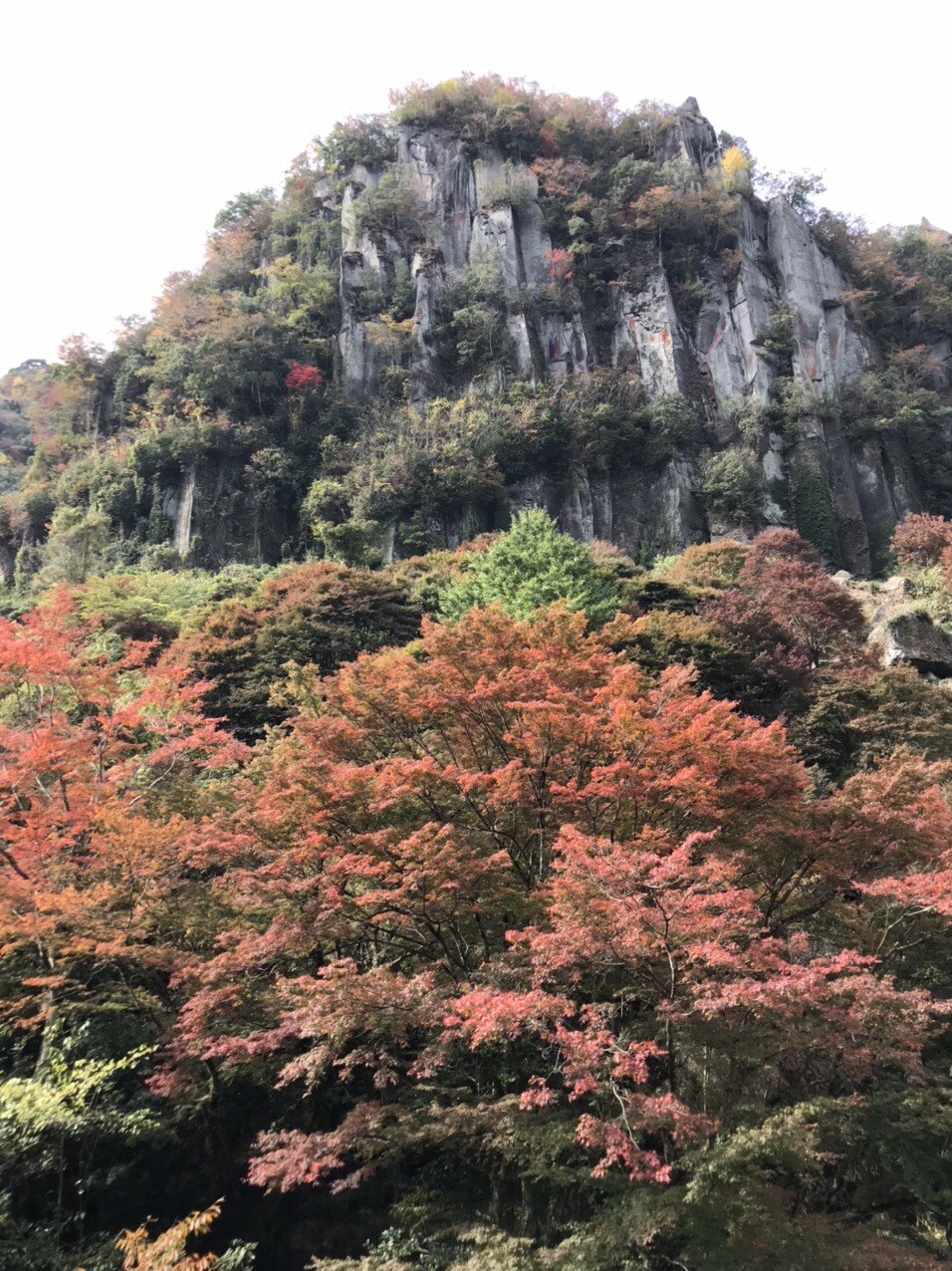 競秀峰 / Meeyaさんの鹿嵐山の活動データ | YAMAP / ヤマップ