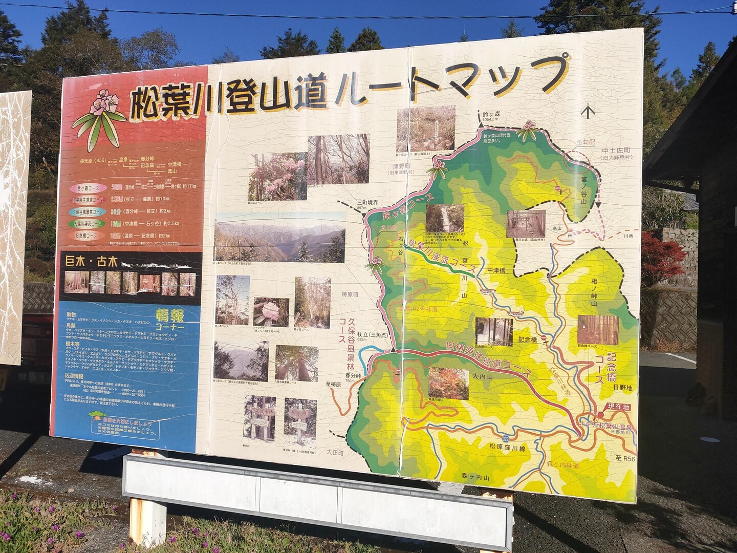 鈴ヶ森-2022-11-21 / masatoさんの鈴ヶ森の活動データ | YAMAP / ヤマップ