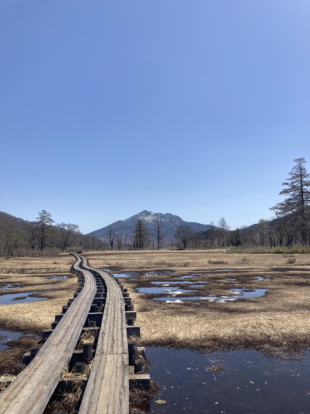 尾瀬 鳩待峠～至仏山荘2024-05-04 / Yoshinoriさんの尾瀬・至仏山・悪沢岳・笠ヶ岳の活動データ | YAMAP / ヤマップ
