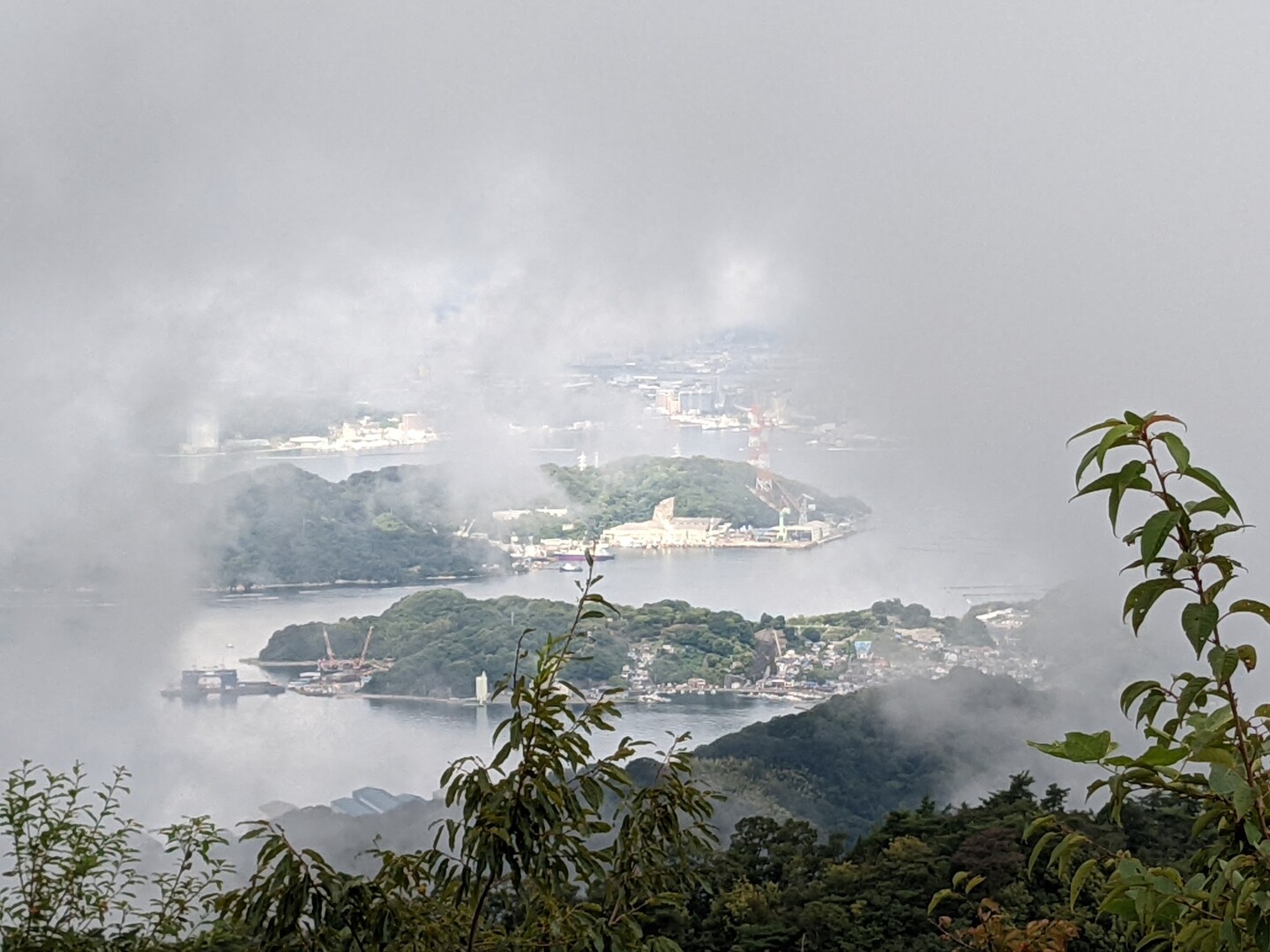 登山-2022-09-11 / K.T.Kさんの絵下山・天狗城山・森山の活動データ | YAMAP / ヤマップ