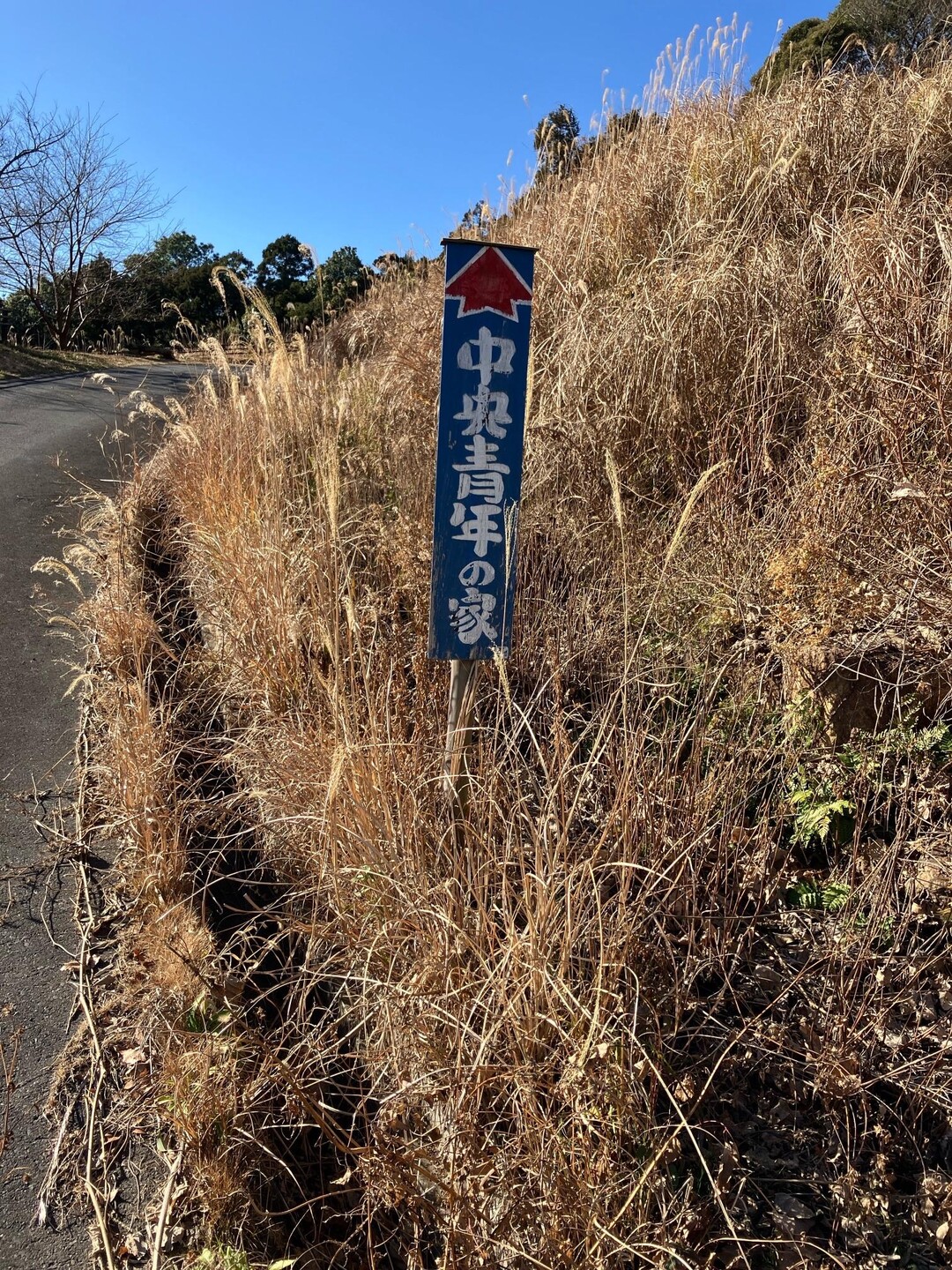 T.Yさんの投稿したフィールドメモ | YAMAP / ヤマップ