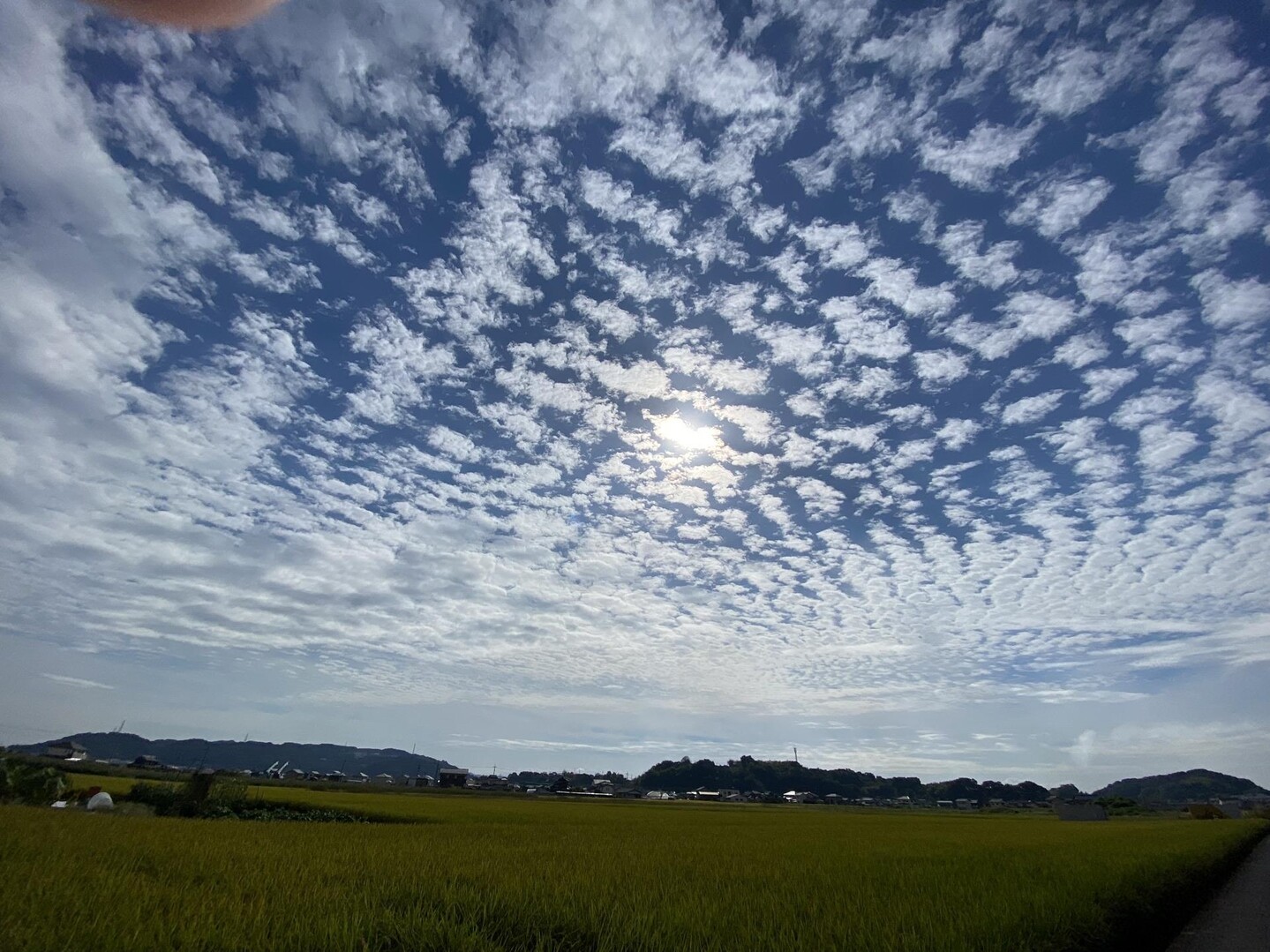 倉敷市 玉島・船穂・真備エリア-2024-09-27 / YHやっさんさんの倉敷市 玉島・船穂・真備エリアの活動データ | YAMAP / ヤマップ