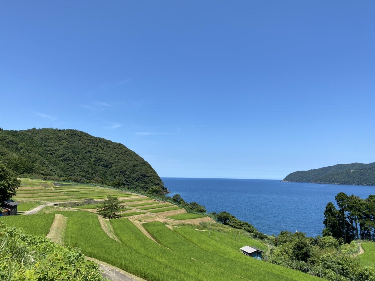 2021.7.24(土) 福井県小浜市... / akaさんのモーメント | YAMAP / ヤマップ