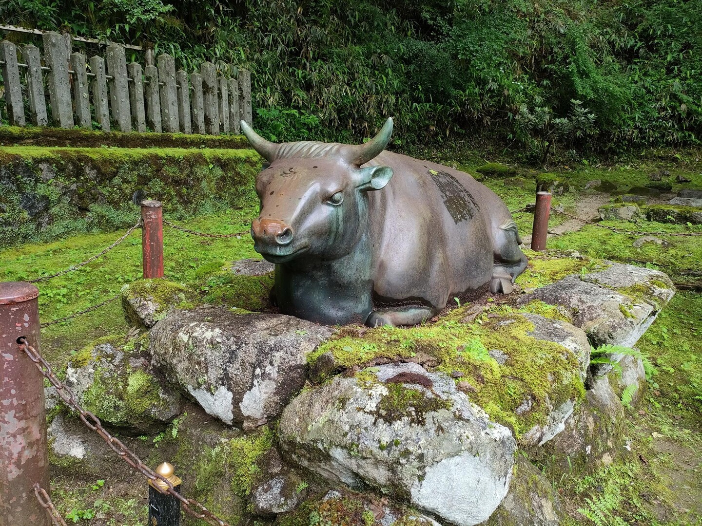 梅雨の合間に🌥️〜金剛山・葛木岳〜 / uosukiさんの金剛山・二上山・大和葛城山の活動データ | YAMAP / ヤマップ