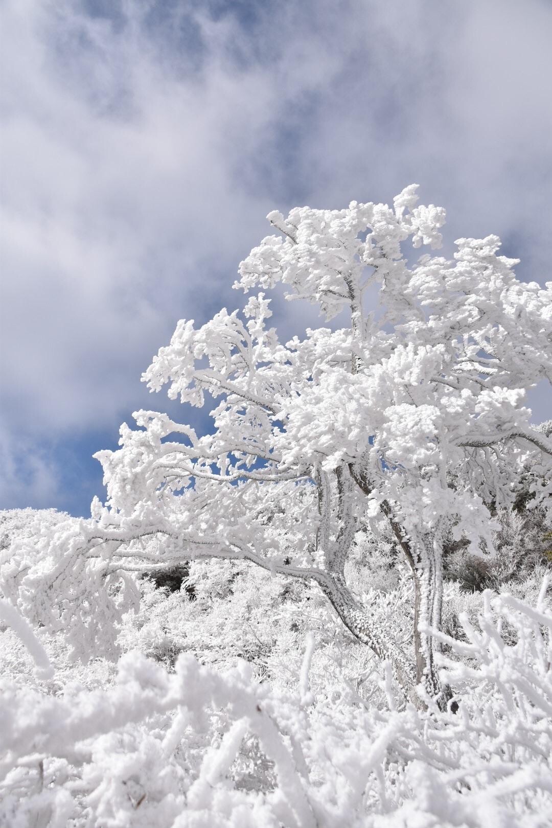 うんぜんむひょー ️2023 / kawaさんの雲仙岳・普賢岳・絹笠山の活動日記 | YAMAP / ヤマップ