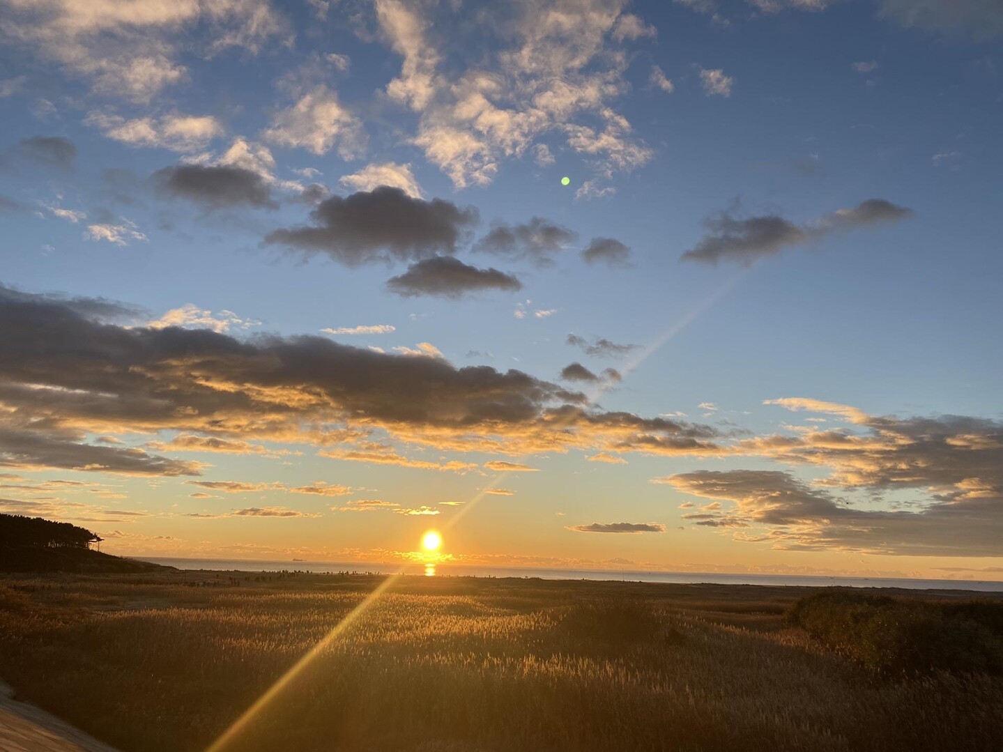 日和山 / megu さんの仙台市の活動データ | YAMAP / ヤマップ