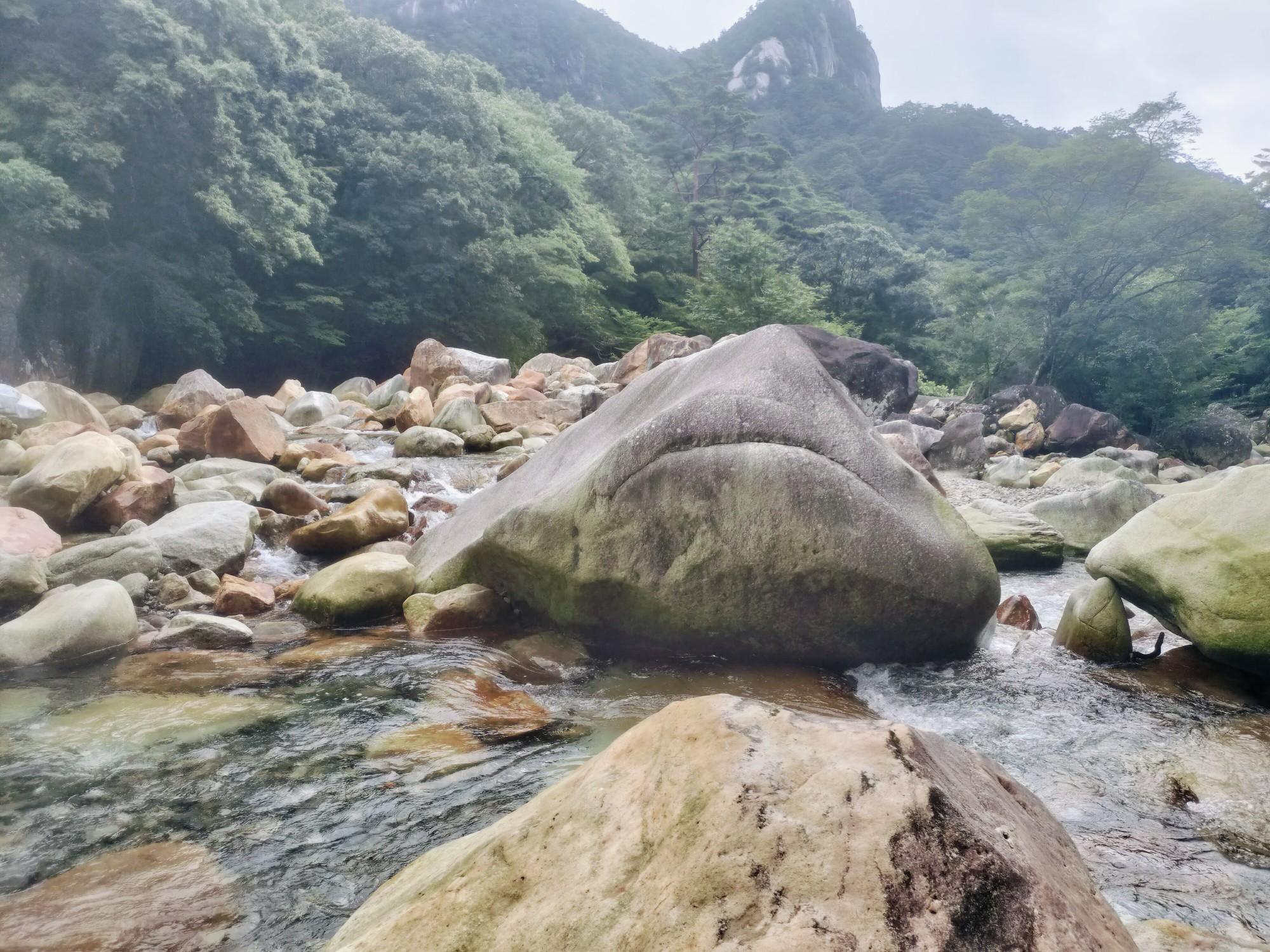 大崩山-2025-07-31 / ironakatさんの大崩山・五葉岳・新百姓山の活動日記 | YAMAP / ヤマップ