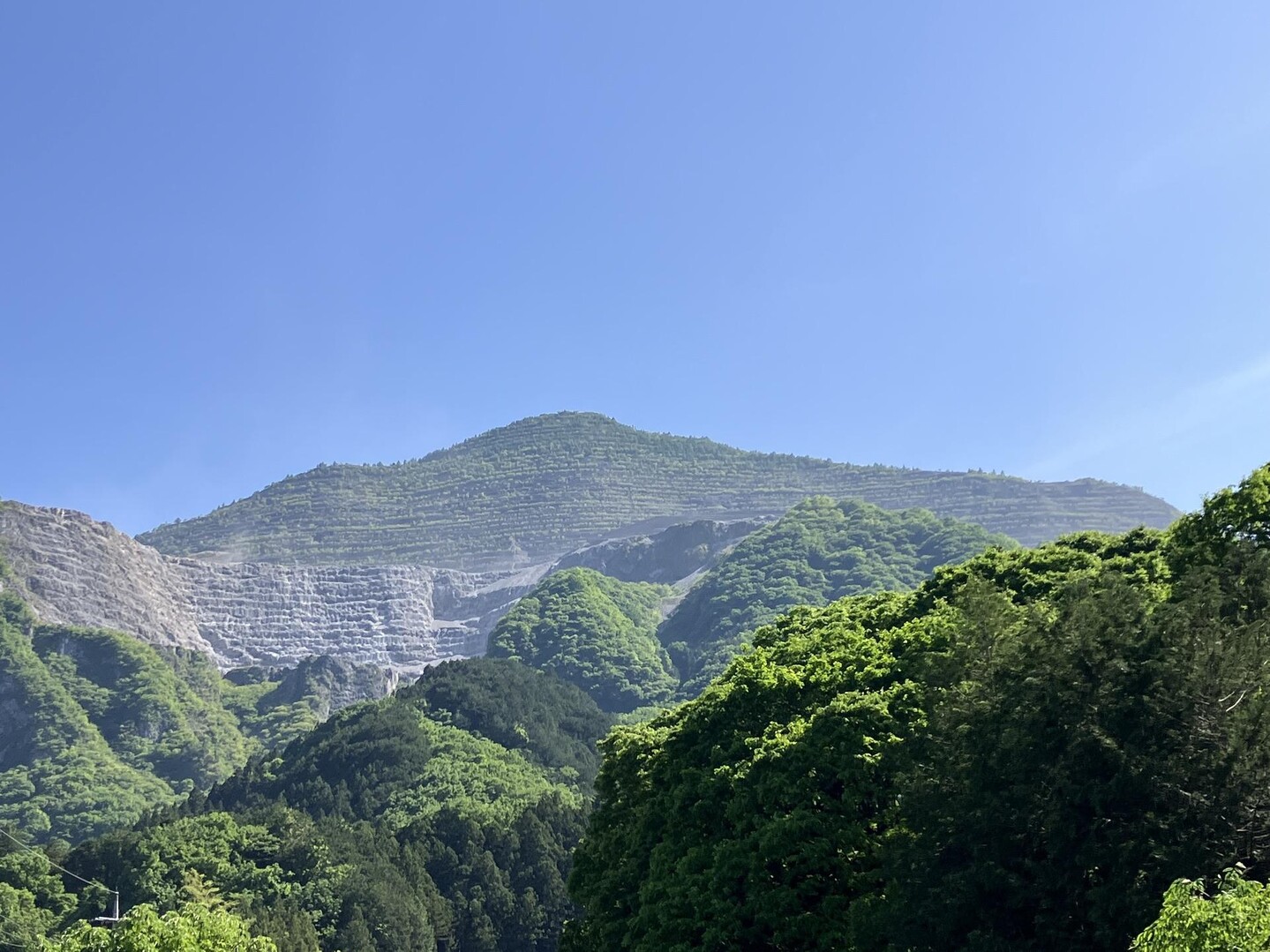 武甲山・小持山・大持山 / CPさんの武甲山・伊豆ヶ岳・小持山の活動日記 | YAMAP / ヤマップ
