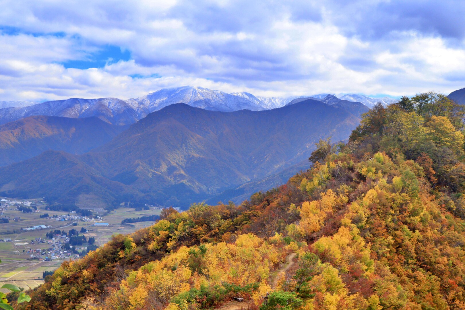 紅葉（黄葉）も良かった🍂坂戸山 / t-yanさんの坂戸山の活動データ | YAMAP / ヤマップ