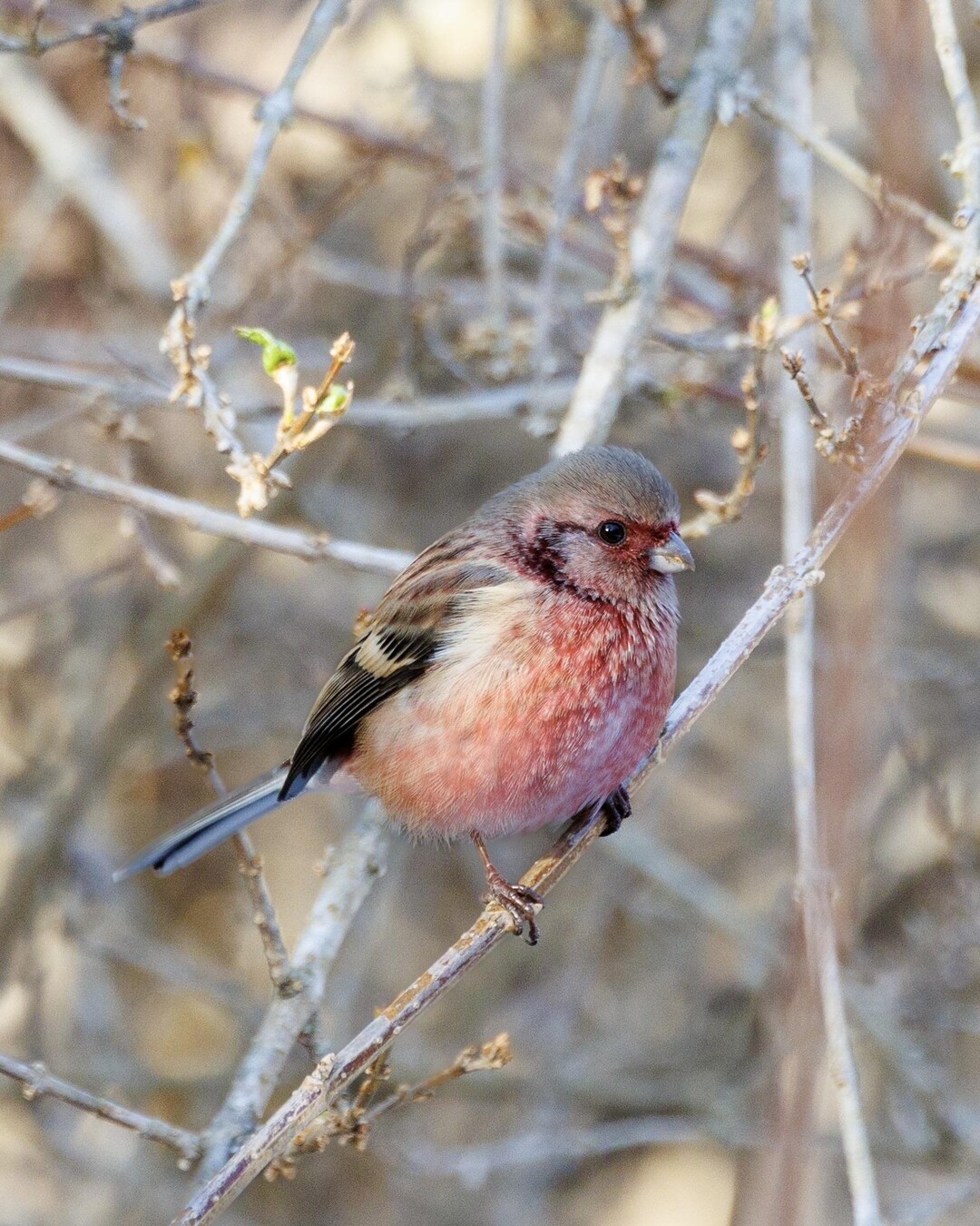 2022年 今年も一年ありがとうございま... / Hideyan🐶さんのモーメント | YAMAP / ヤマップ