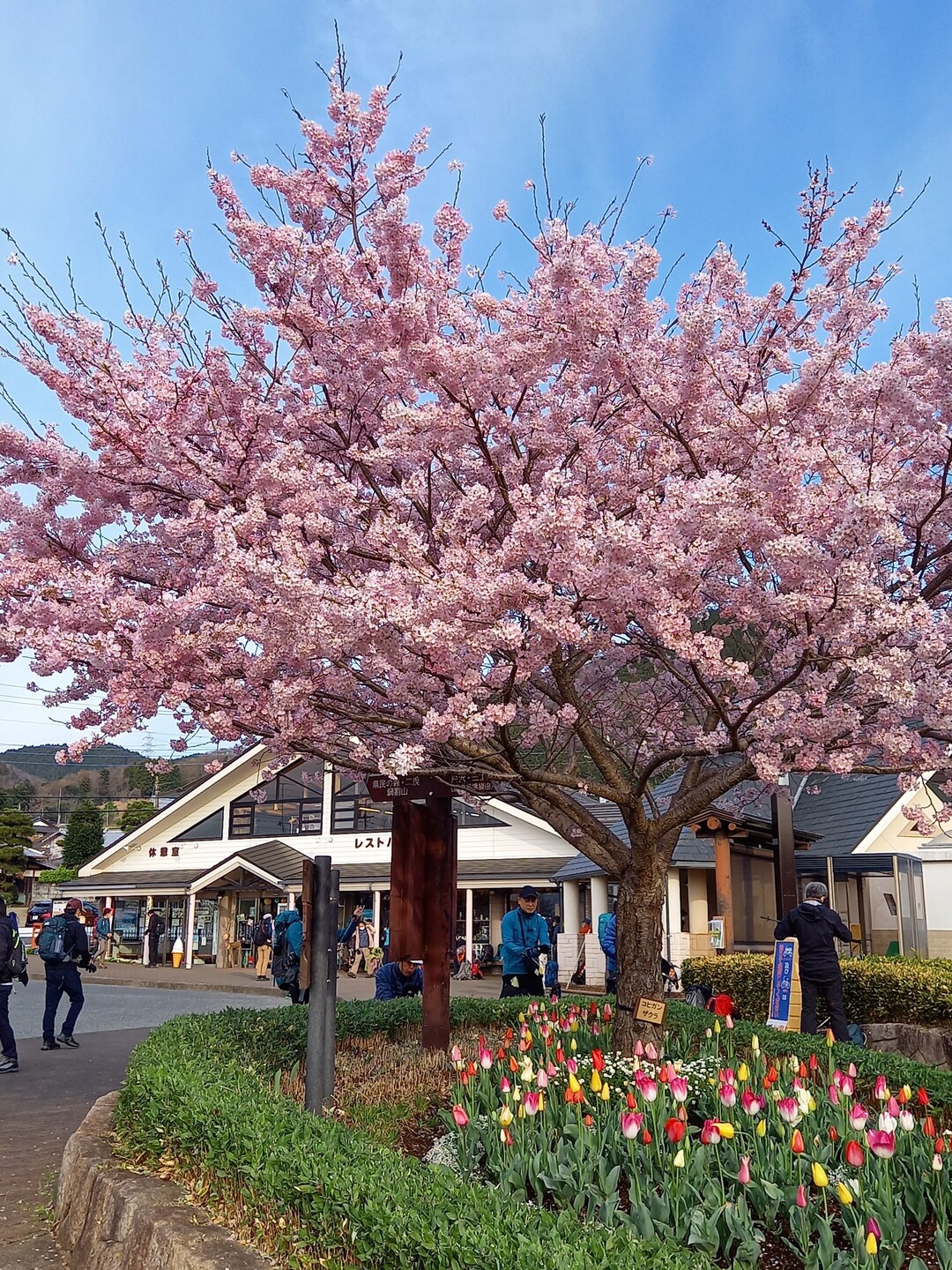 丹沢山までお迎えに😊 / emi.sanさんの塔ノ岳・丹沢山・蛭ヶ岳の活動日記 | YAMAP / ヤマップ