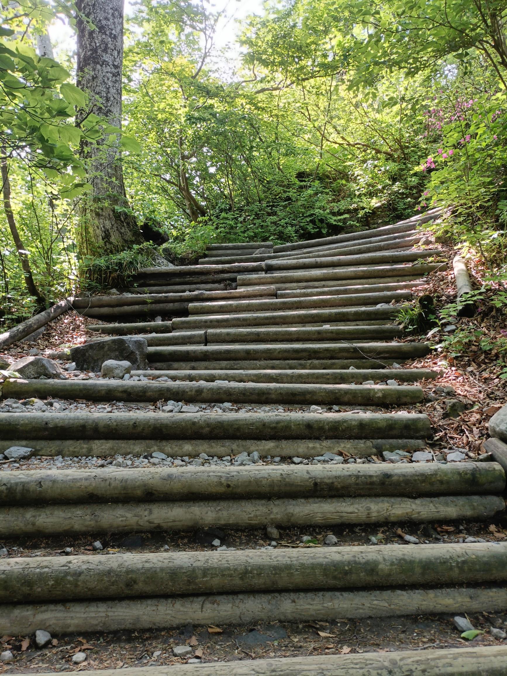大山（弥山）ドMへ贈る歌 / ukeyさんの大山・甲ヶ山・野田ヶ山の活動データ | YAMAP / ヤマップ