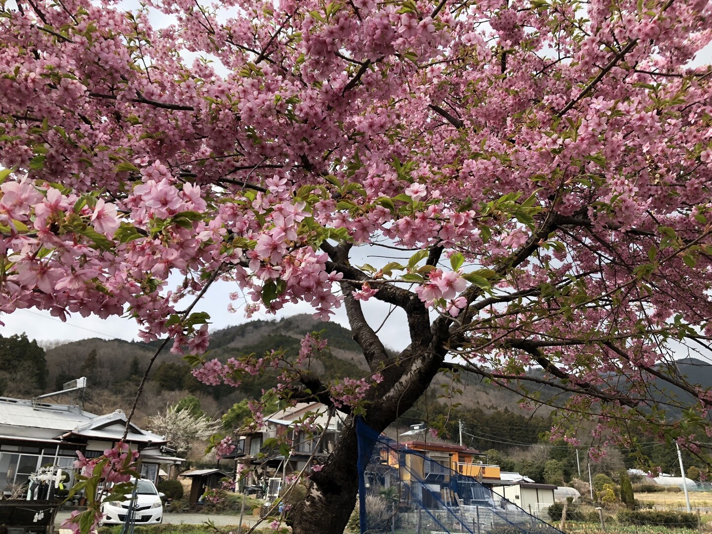 RMさんの投稿したフィールドメモ | YAMAP / ヤマップ