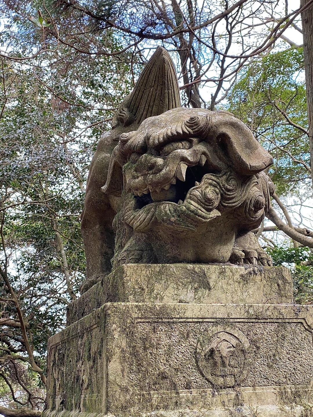 忘れ去られた空間なの、、/金比羅岳 / あき さんの蓮華石岳・金比羅岳の活動データ | YAMAP / ヤマップ