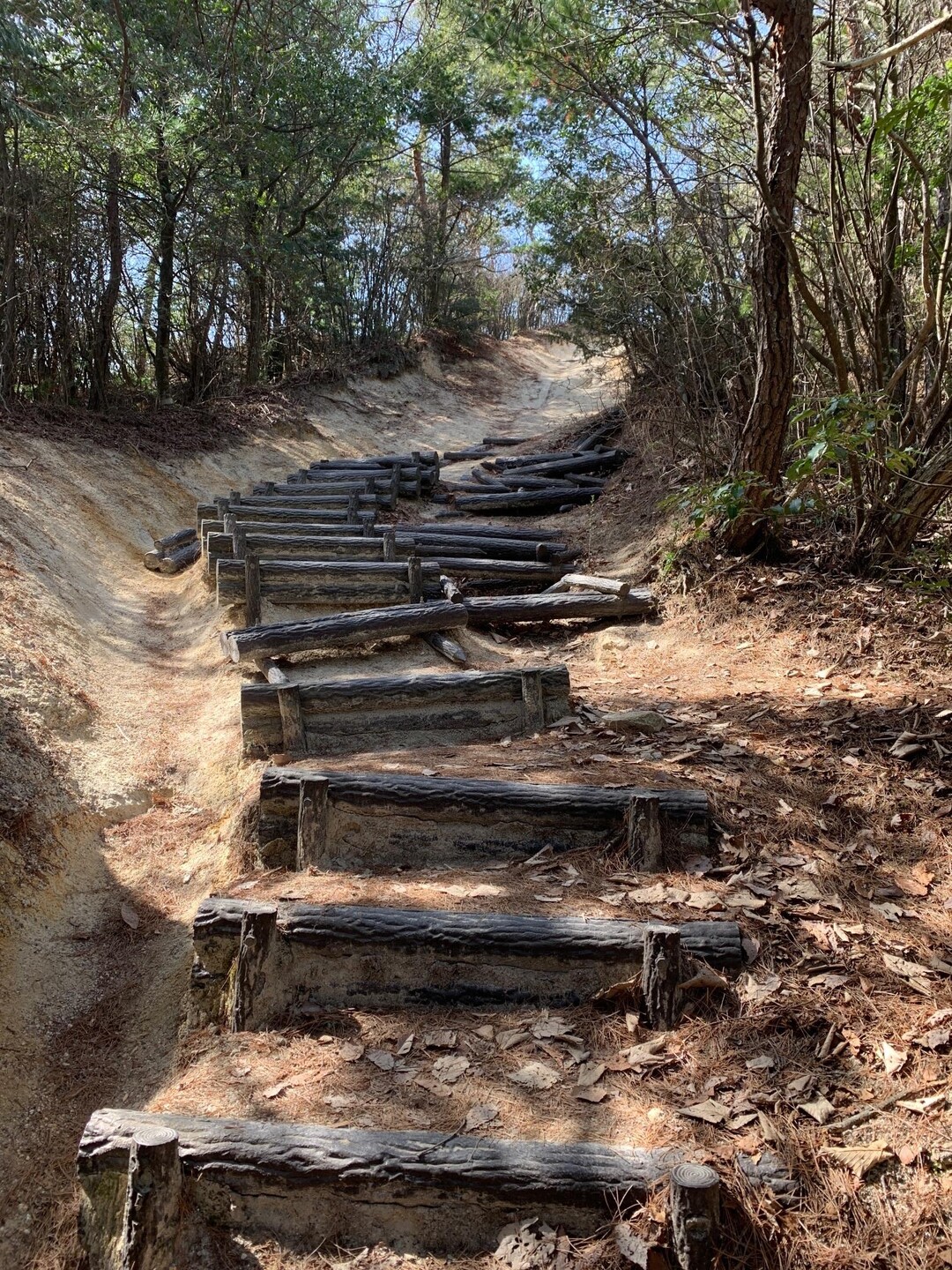 Alex Kudzinさんの投稿したフィールドメモ | YAMAP / ヤマップ