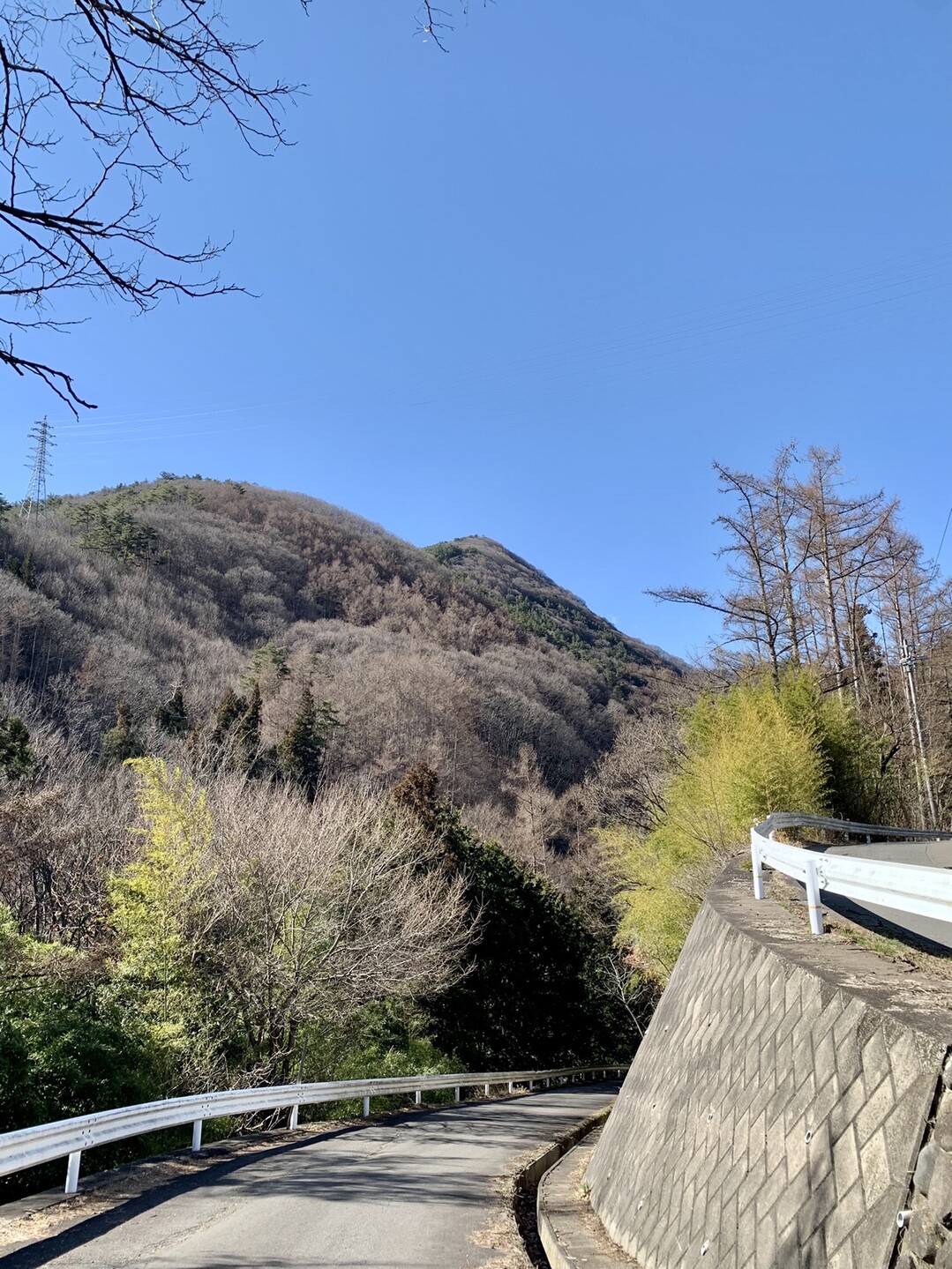 太郎山 / saccoさんの太郎山の活動日記 | YAMAP / ヤマップ