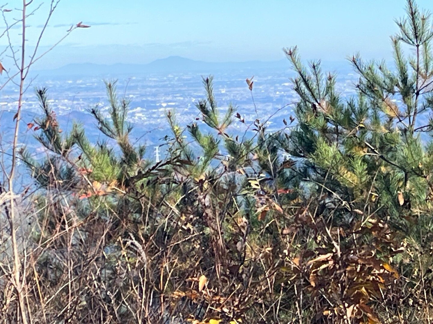 沢井尾根-高水三山-永栗ノ峰-雷電山 / Y-kobaさんの高水山・岩茸石山・惣岳山の活動データ | YAMAP / ヤマップ