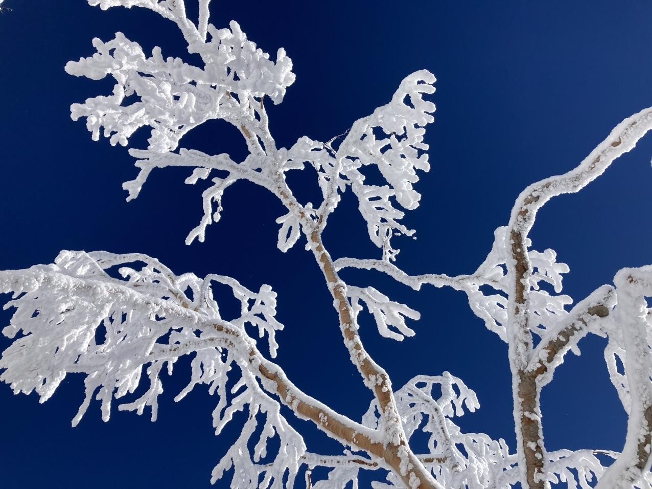 kyoのページ | YAMAP / ヤマップ