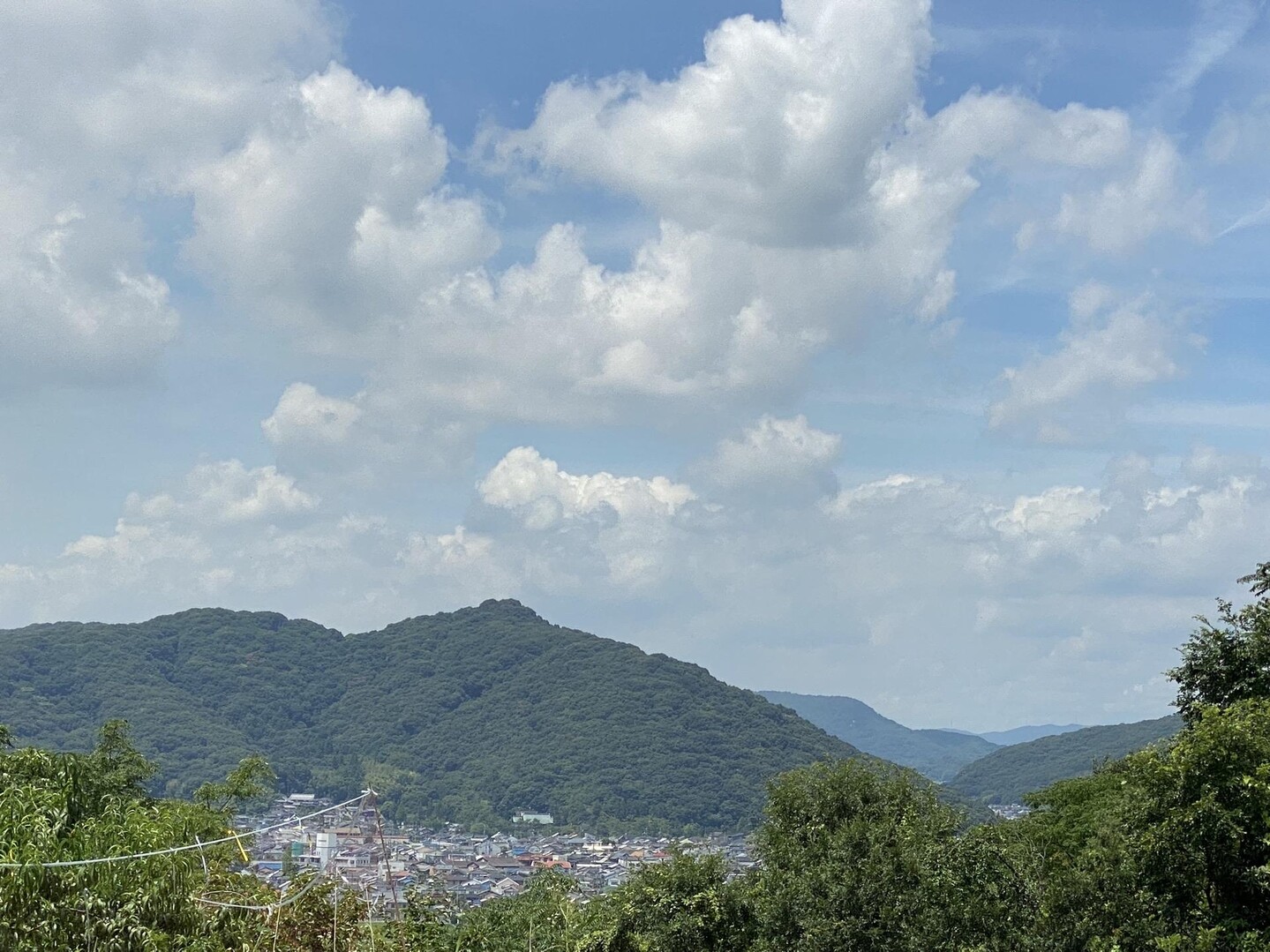 本日もやっぱりまったり無し-2024-07-27 / YHやっさんさんの岡山市 北区の活動データ | YAMAP / ヤマップ