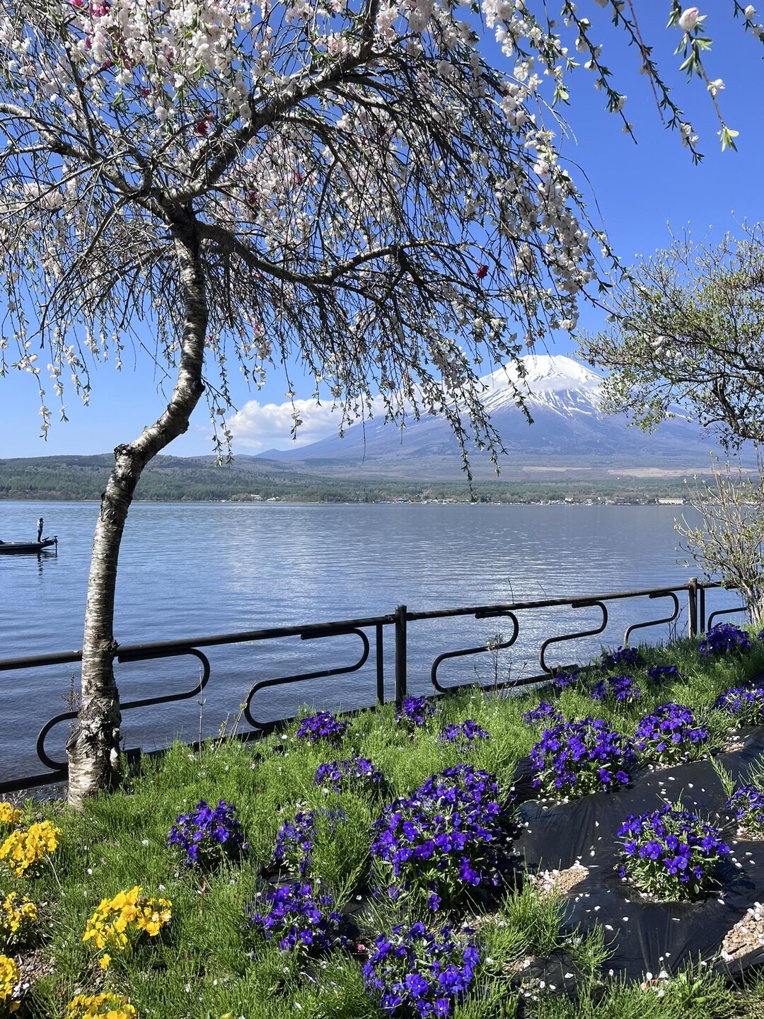 2024Mt.FUJI応援の部 / mierinさんの御正体山・杓子山・石割山の活動データ | YAMAP / ヤマップ