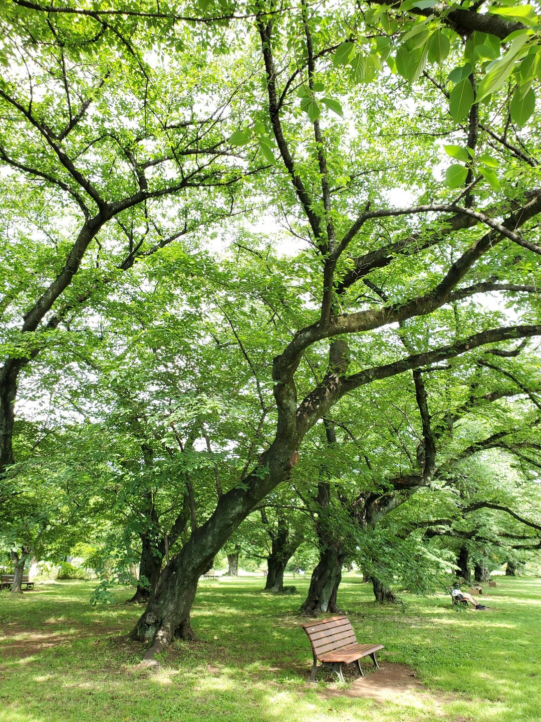 まり238のページ | YAMAP / ヤマップ