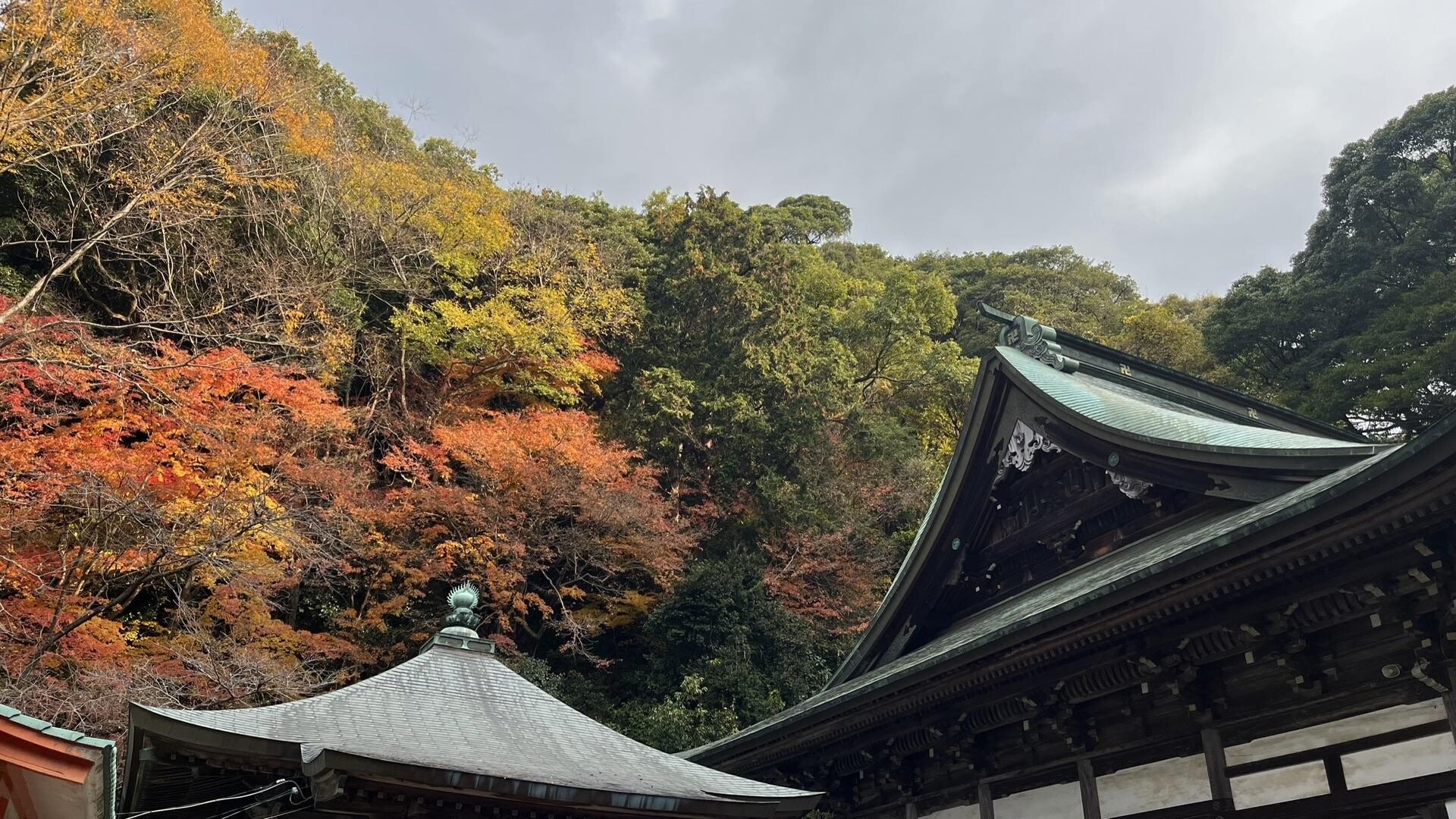 清水山 / chiiccaさんの清水山・丸山・古僧都山の活動データ | YAMAP / ヤマップ